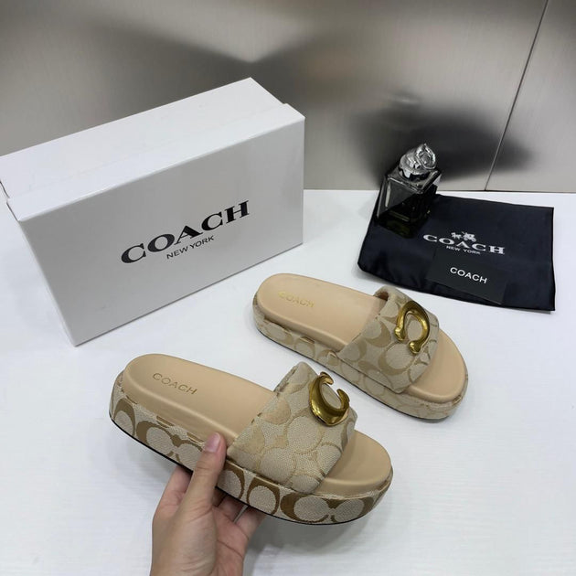 Coach Platform Latest Article – Glamourlyindia